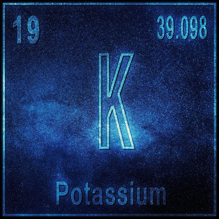 Can You Increase Potassium Level Naturally – Healthvit